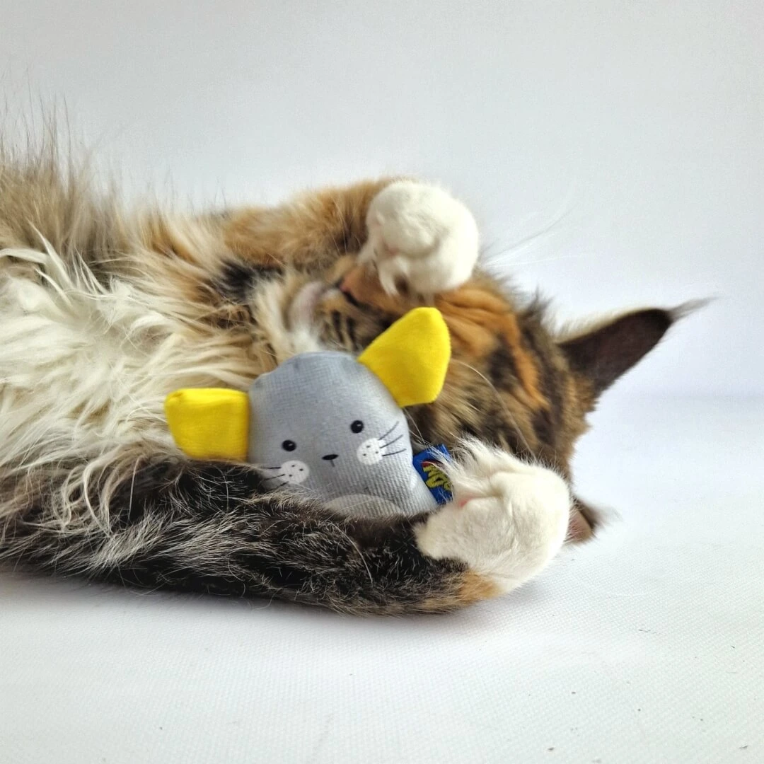 BAM! Catnip Martin Mouse vind je bij Cats & Things